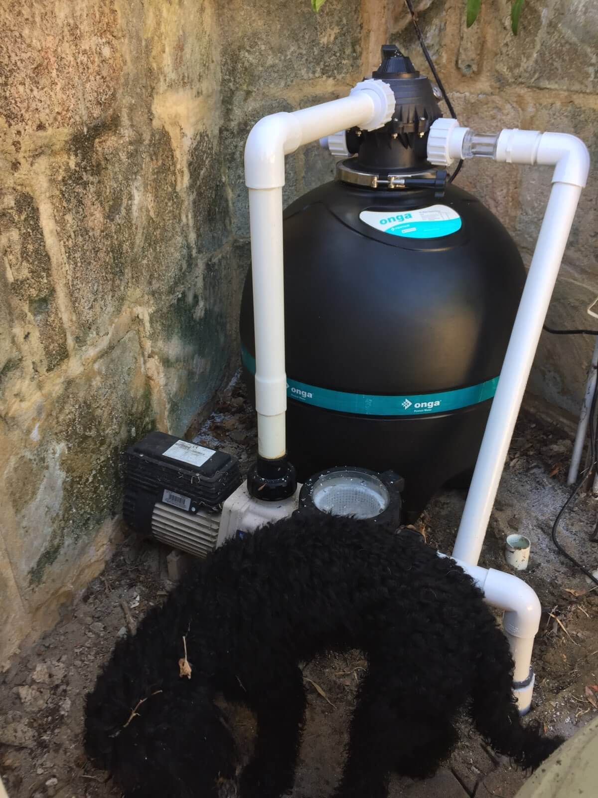 Installation of Onga Pantera P25 sand filter | Best Price Pool Equipment